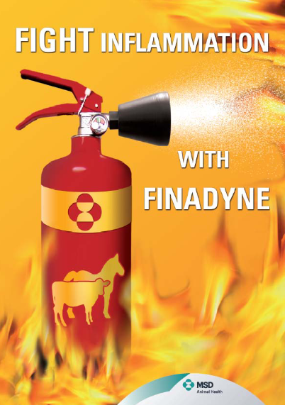 RUMINANT BROCHURES - MSD Animal Health Middle East